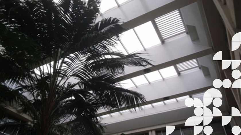 Adapted Lean management, a tool for transformation at CPAM Yvelines